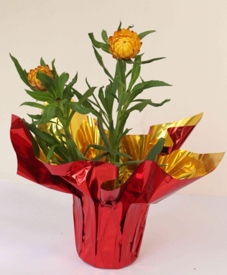 Foil Flower Pot Covers Manufacturer